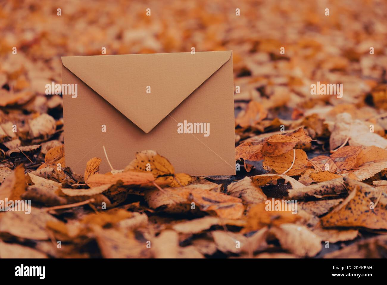 Empty earth tones envelope mock up around Colorful falling autumn ...