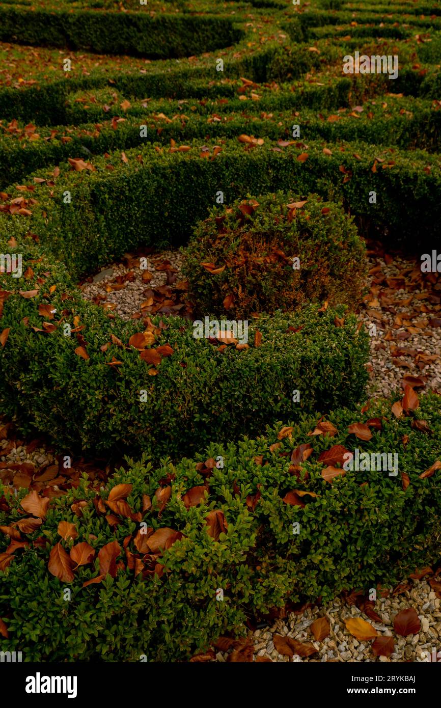 Labyrinth autumn hi-res stock photography and images - Alamy
