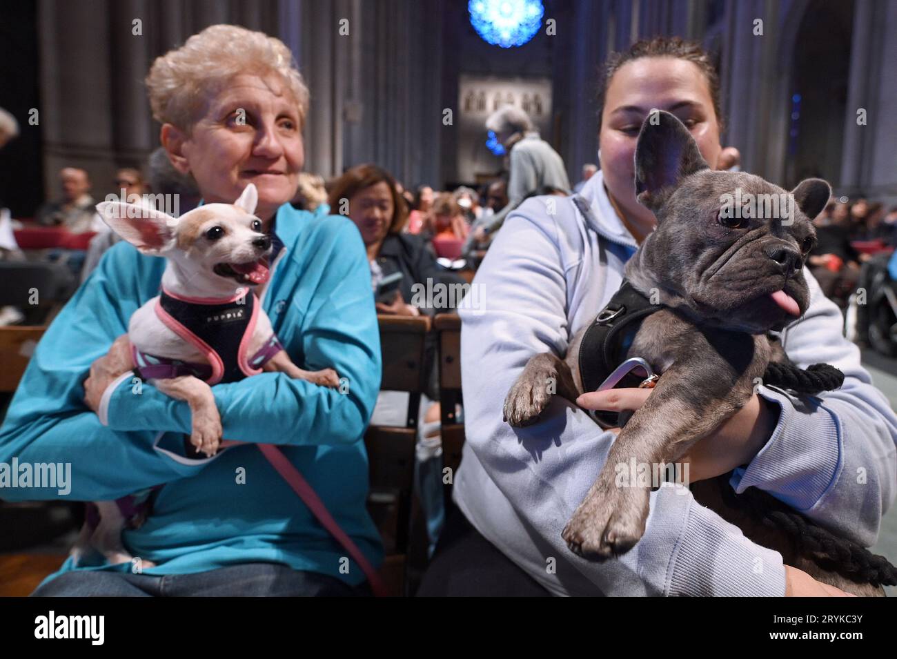 New York, USA. 01st Oct, 2023. Pet owners bring their dogs during the blessing of the animals on ...