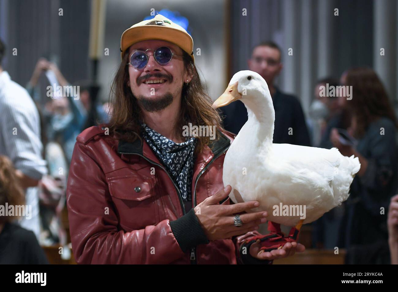 Wrinkle duck hi-res stock photography and images - Alamy