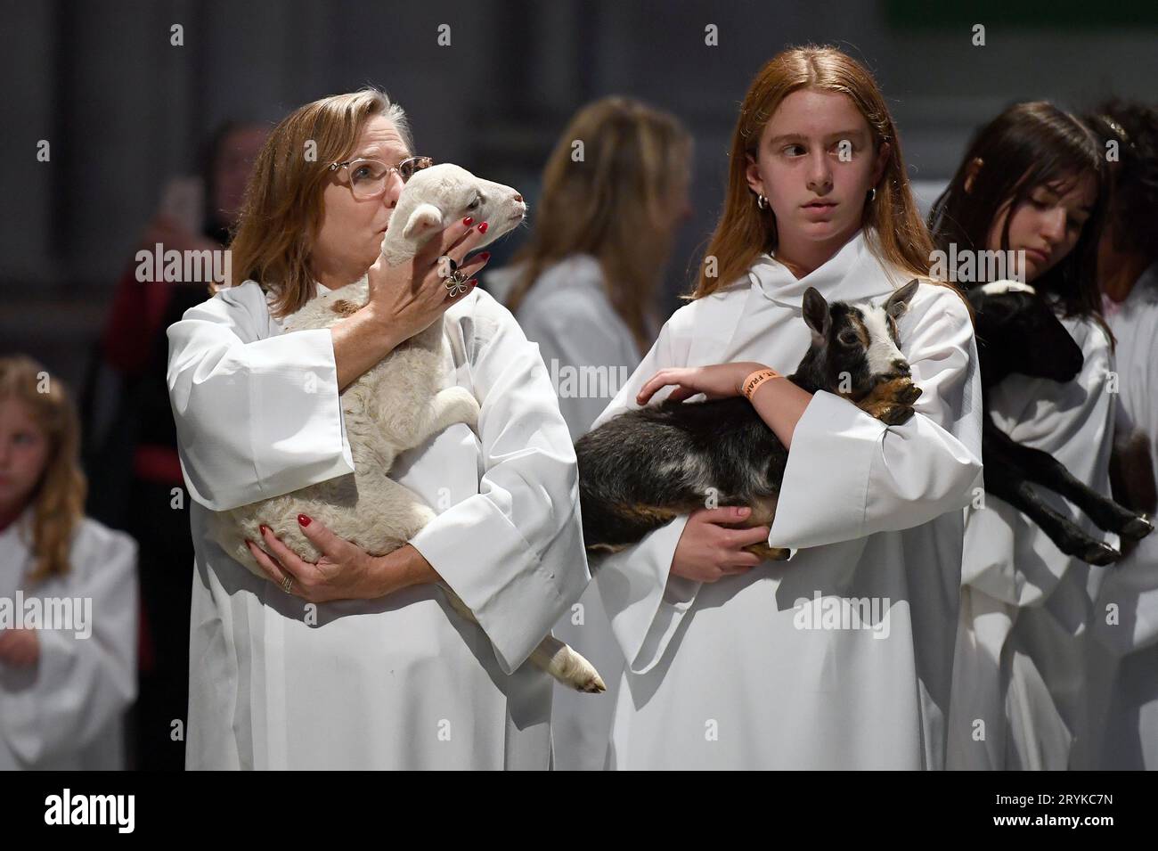 New York, USA. 01st Oct, 2023. A lamb and kid (baby goat) attend the ...