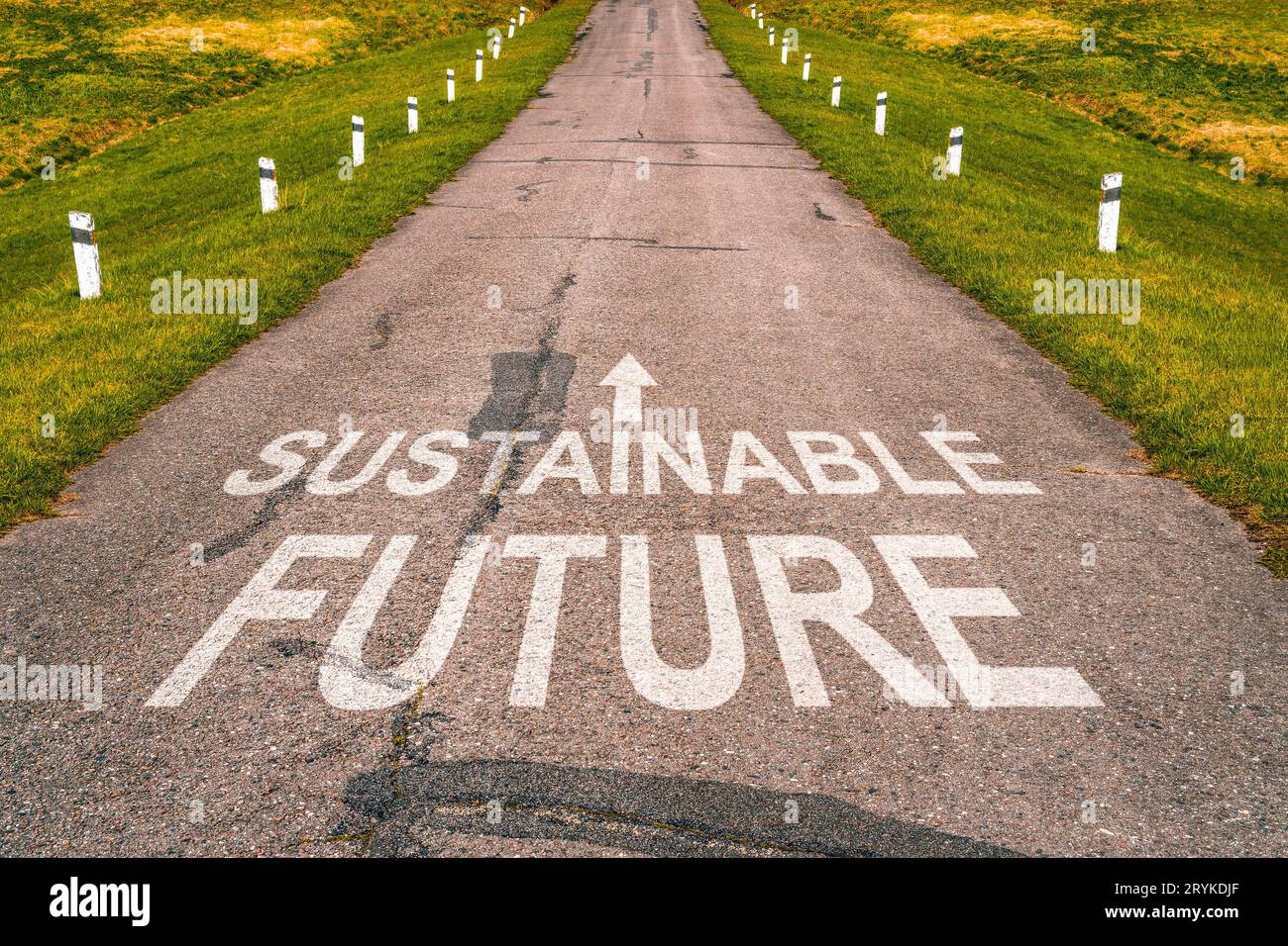 Sustainable future lettering on asphalt road surface Stock Photo - Alamy