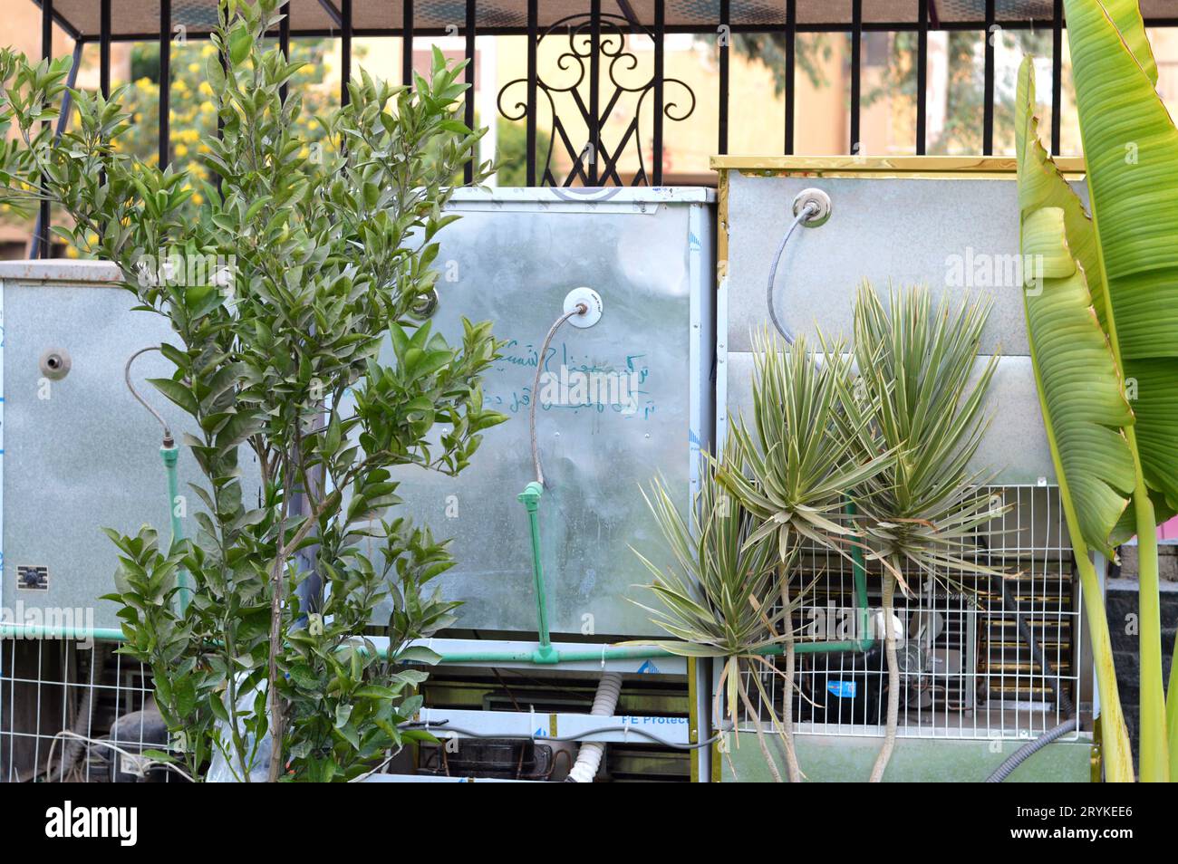 Cairo, Egypt, September 17 2023: Cold water inside a mosque as Sadaqah ...