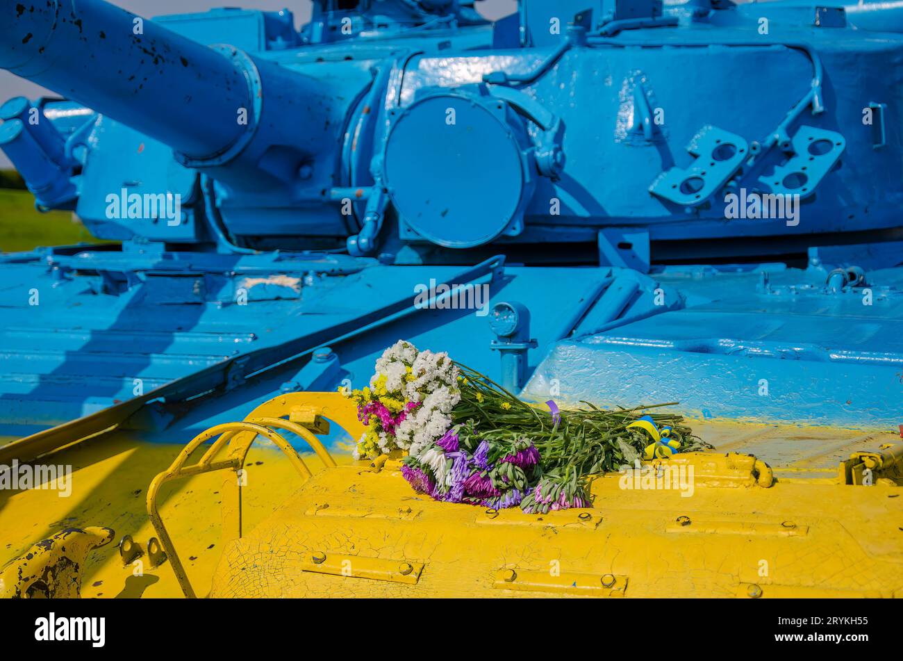 Ukrainian colors hi-res stock photography and images - Alamy