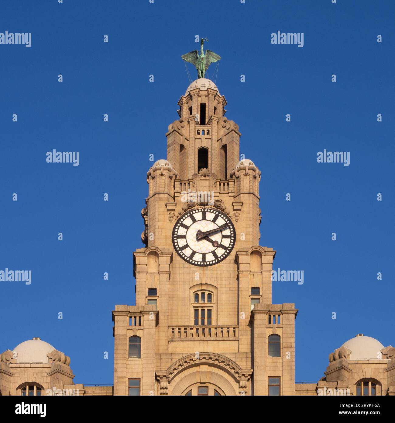Liver Bird Bella atop the Royal Liver Building in Liverpool Stock Photo ...