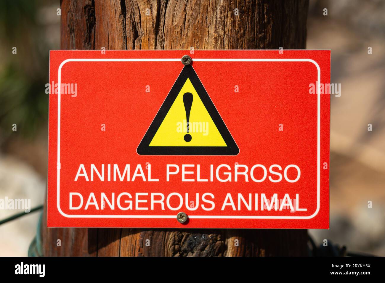 Red 'Dangerous Animal' sign at Monkey Park, Tenerife Stock Photo - Alamy