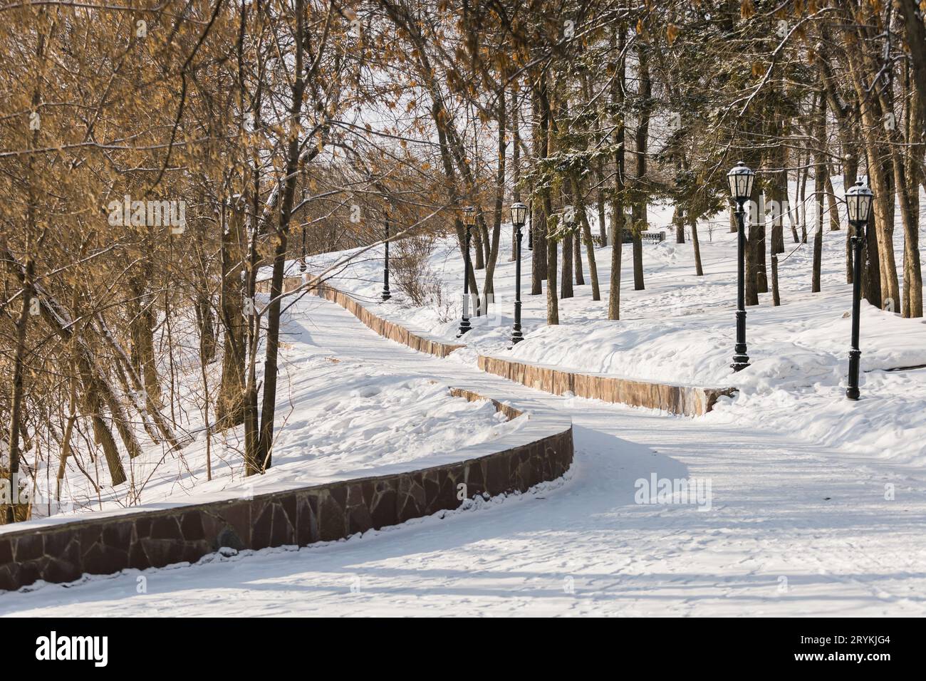 Snowy winter public park in city. Snowy walking path and frost trees ...