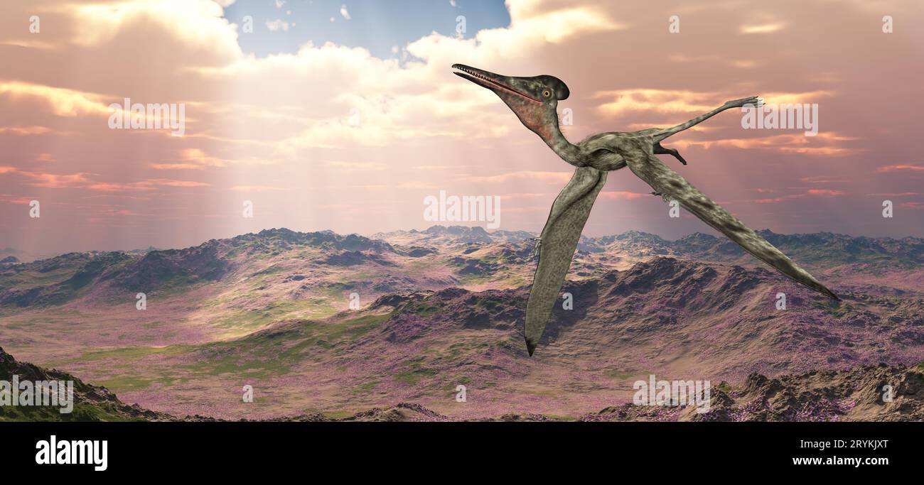 Pterosaur Pterodactylus flying over a barren landscape Stock Photo - Alamy