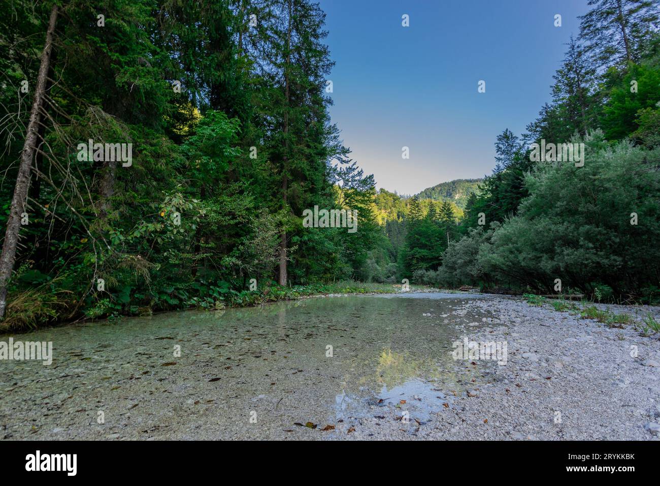 Beautiful Belca river, small clean water stream in the narrow valley of ...
