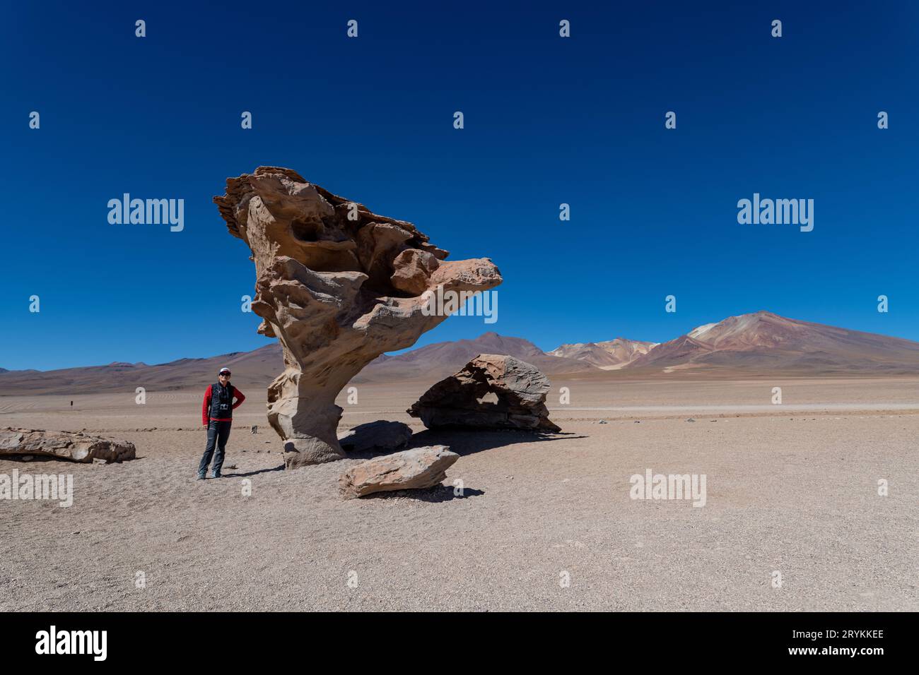 Stone tree in the bolivian altiplano Stock Photo - Alamy