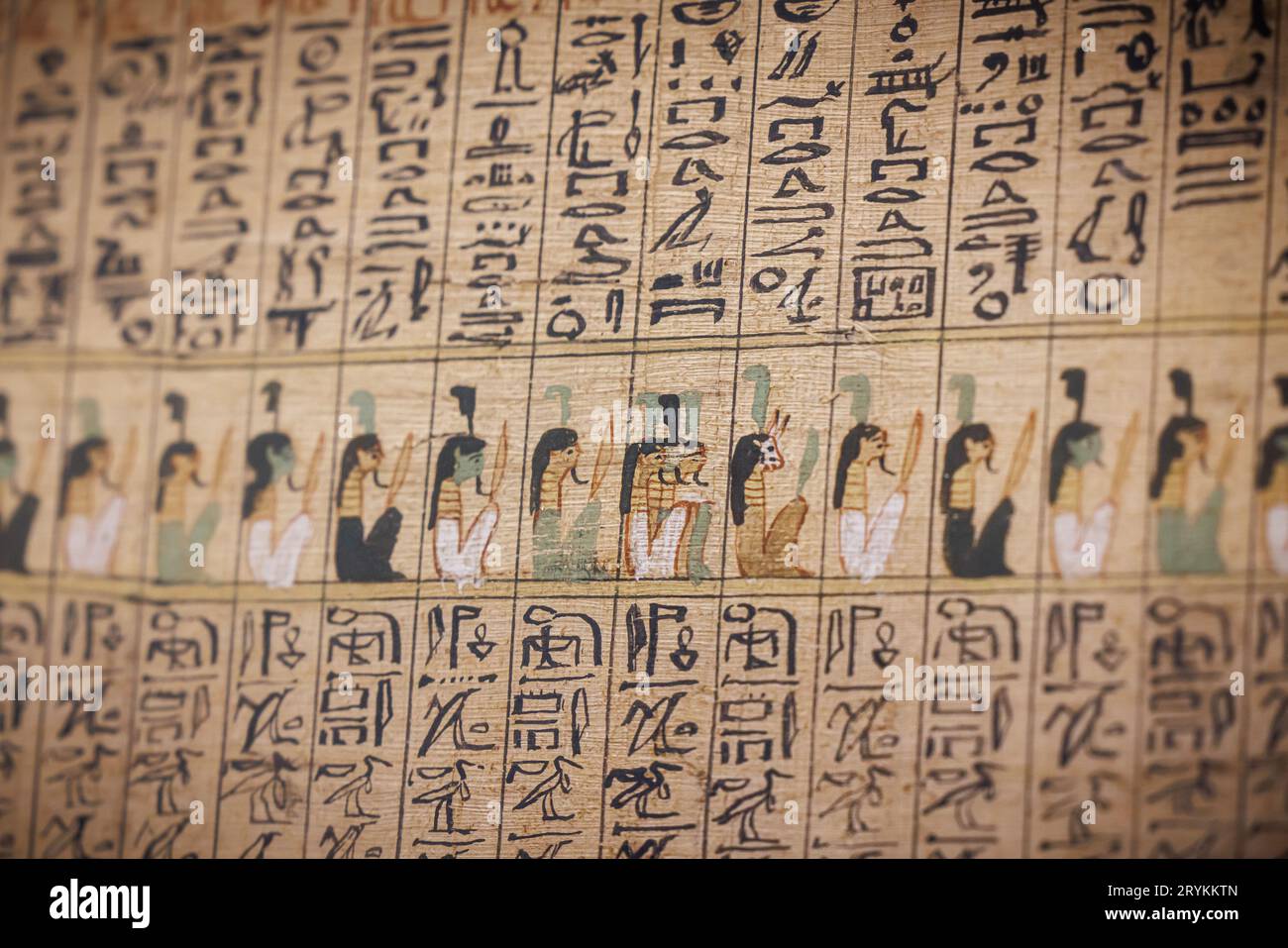 Ancient Egyptian hieroglyphs on papyrus - Cairo Stock Photo - Alamy