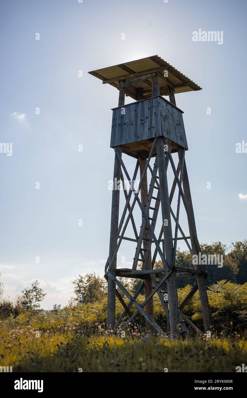 High wooden hunter lookout standing over grass field on a clear sunny ...