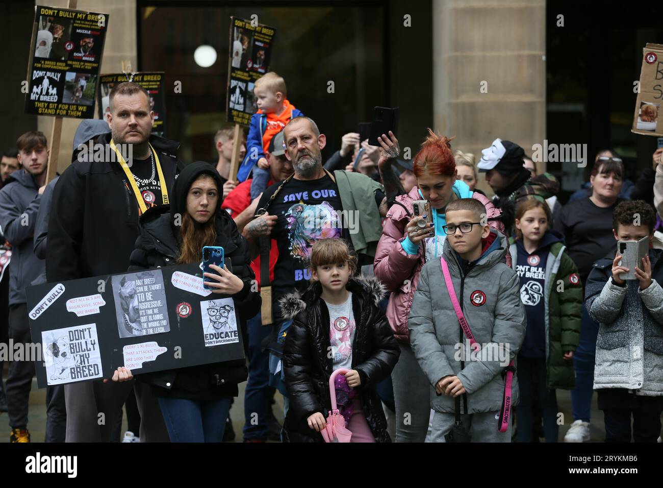 American bully xl ban hi-res stock photography and images - Alamy