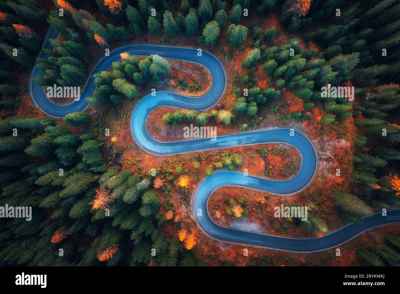 Aerial view of snake road in colorful autumn forest at sunrise Stock ...