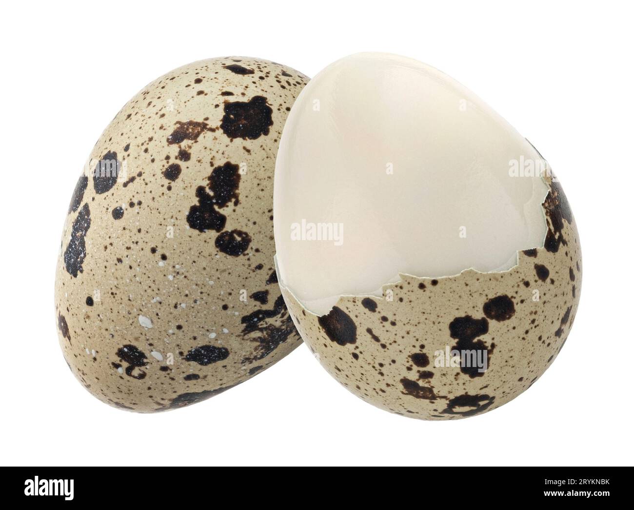 Small spotted quail eggs hi-res stock photography and images - Alamy