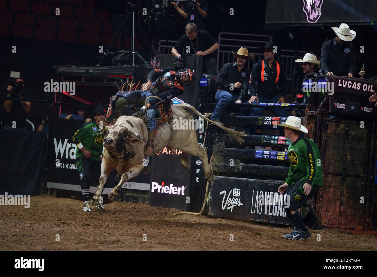 Bucking bull pro hi-res stock photography and images - Alamy