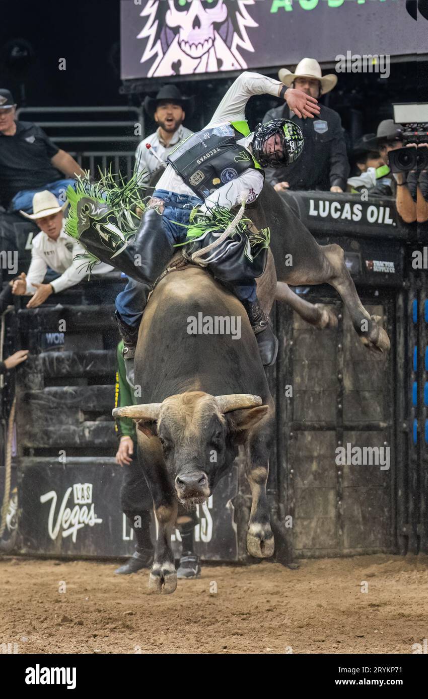 Bucking bull pro hi-res stock photography and images - Alamy