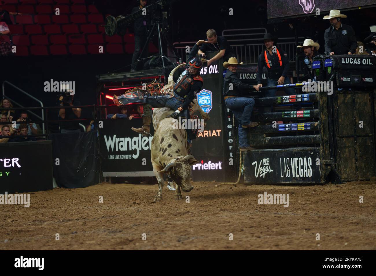 Bucking bull pro hi-res stock photography and images - Alamy