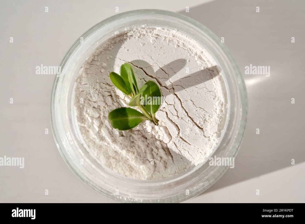 Flower pot clay feet hi-res stock photography and images - Alamy
