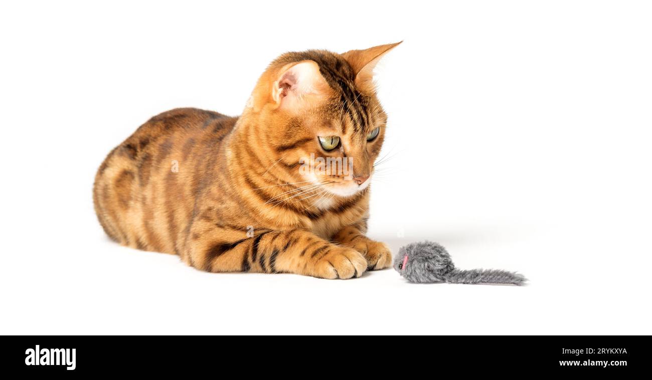 Plush red white toy Cut Out Stock Images & Pictures - Alamy