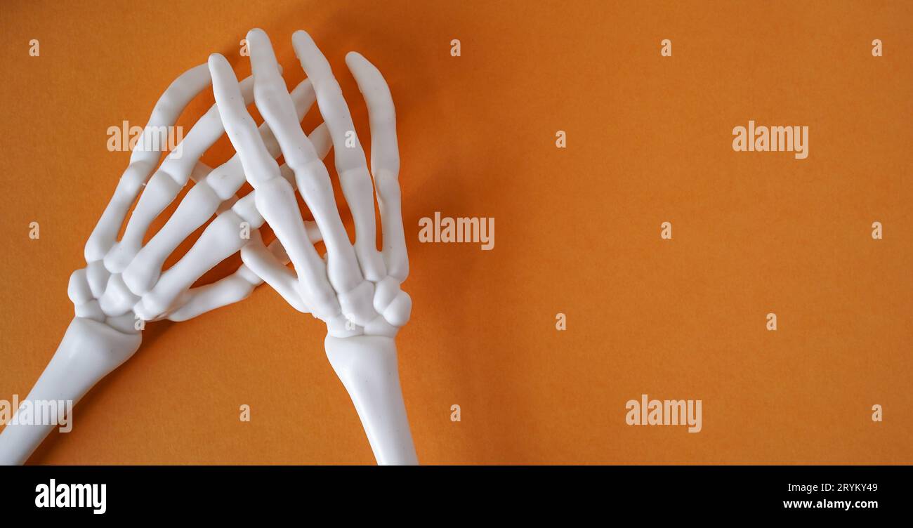Human hand bones isolated hi-res stock photography and images - Alamy