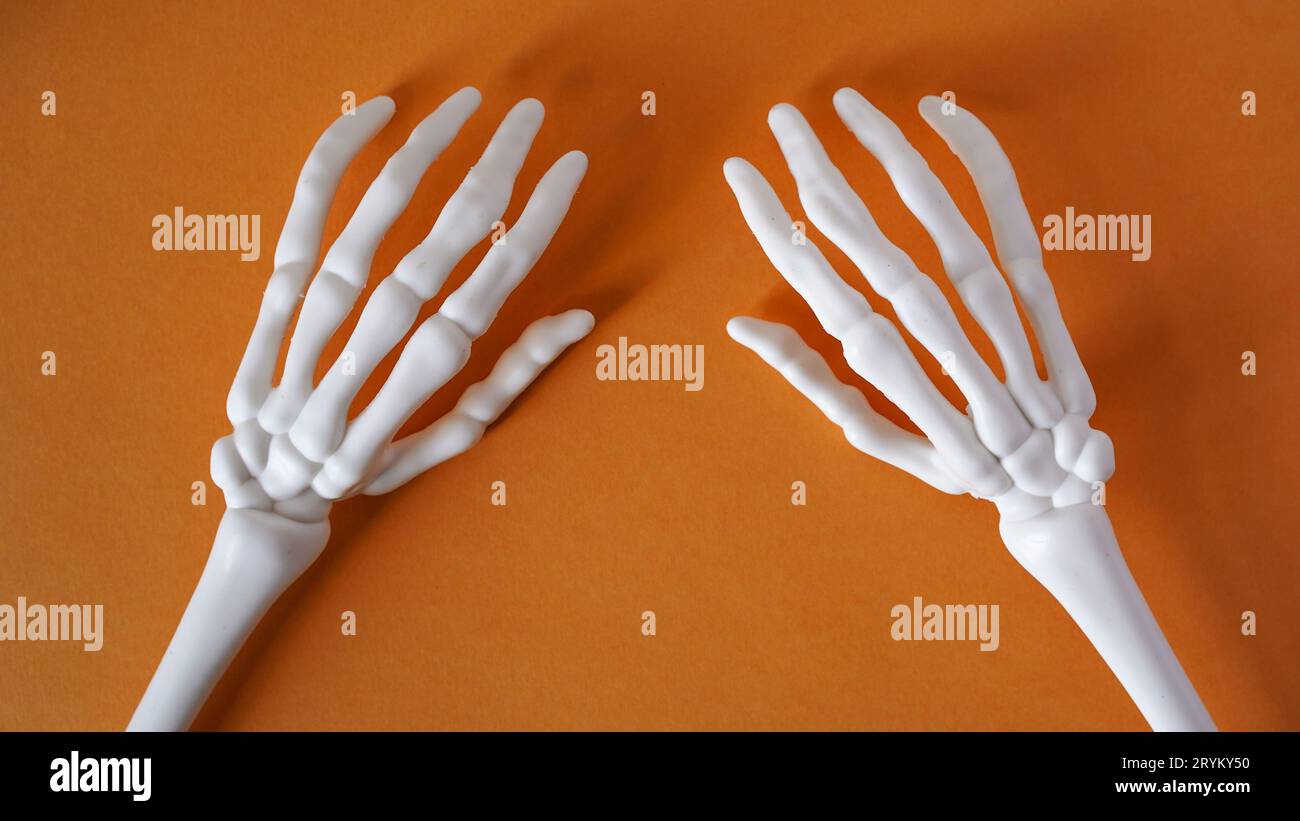 Skeleton of human hands on an orange background, top view, copy space ...
