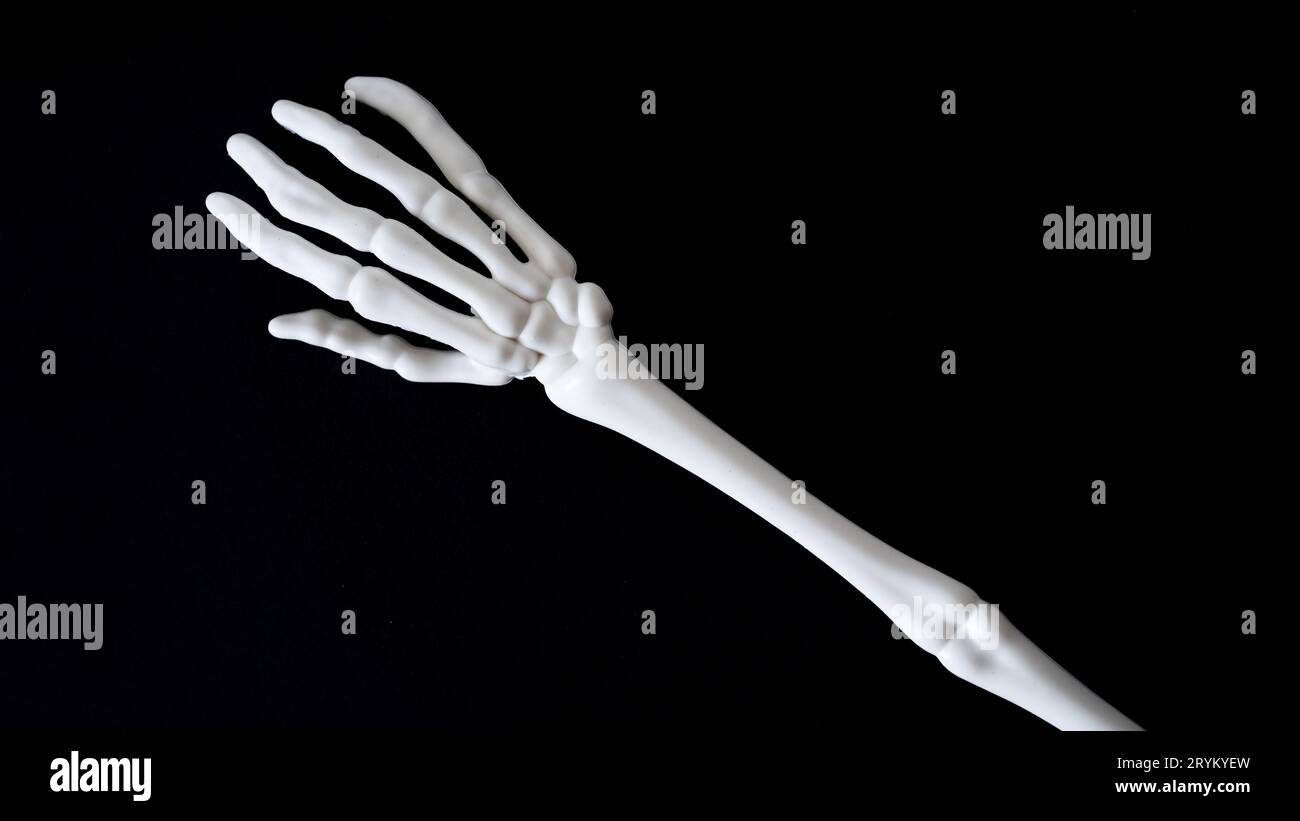 Skeleton of human hands on an black background, top view, copy space ...