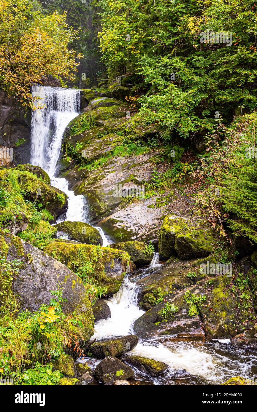 Fog creek boulders hi-res stock photography and images - Alamy