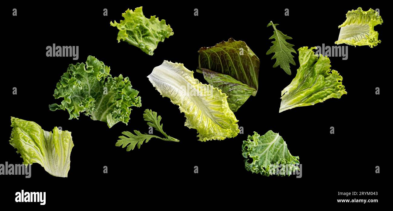 Falling salad leaves isolated on black background Stock Photo - Alamy
