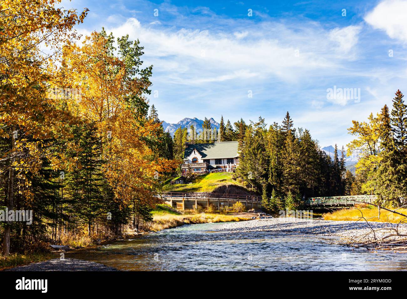Sunny surroundings hi-res stock photography and images - Alamy