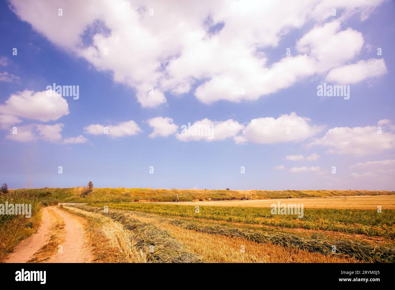 Harvest spring hi-res stock photography and images - Alamy