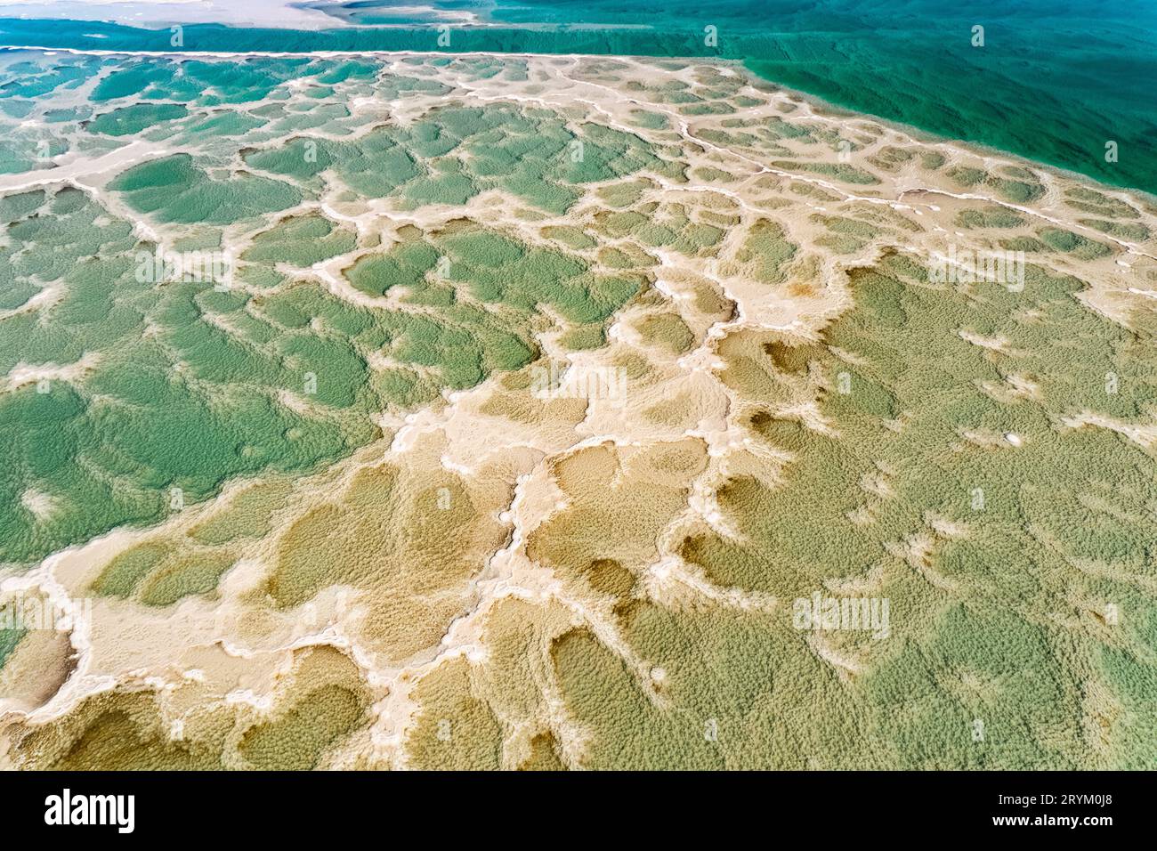 Israel. The clear green water Stock Photo - Alamy