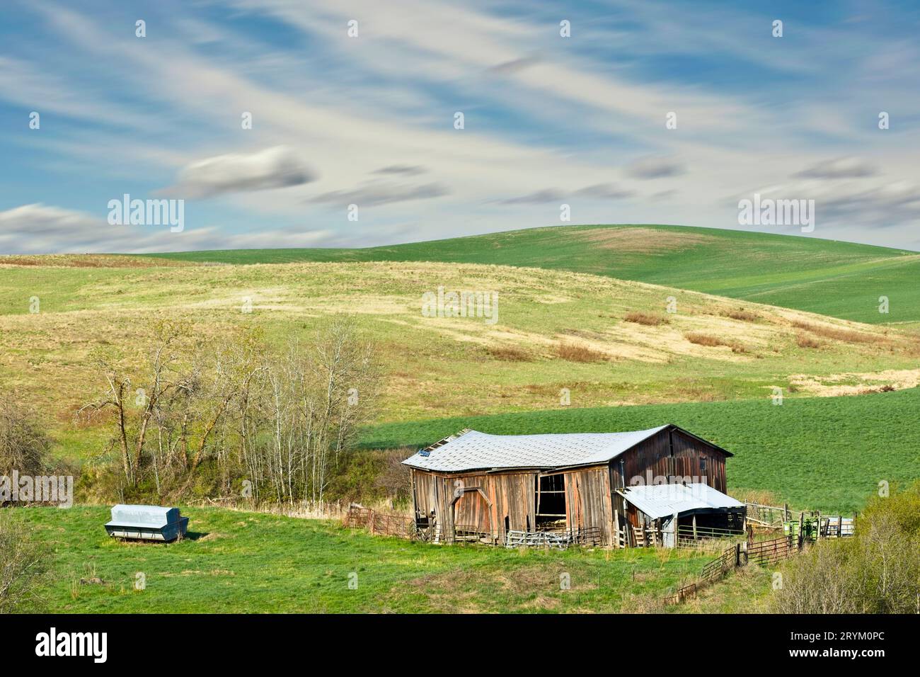 Barn under a tree hi-res stock photography and images - Alamy