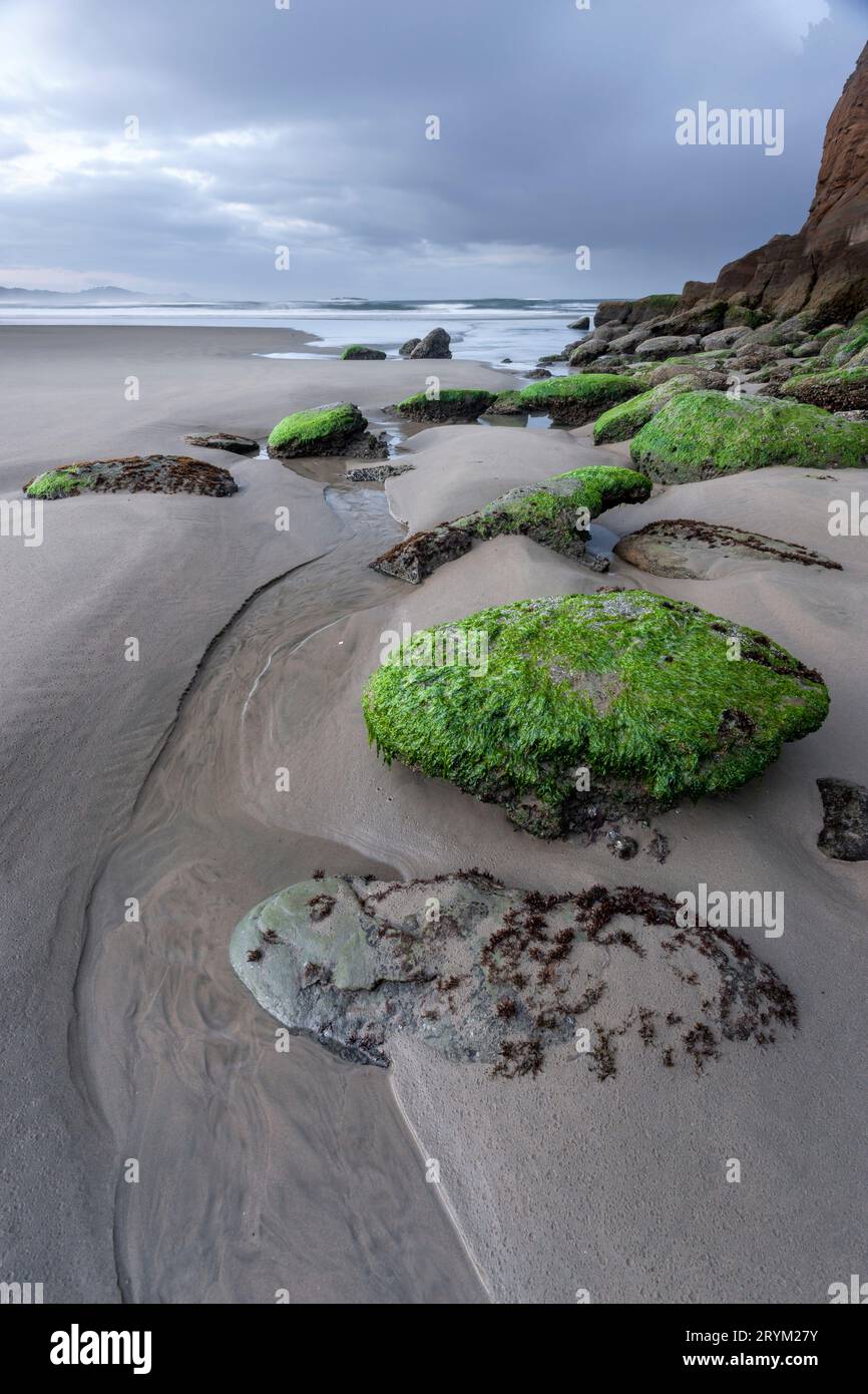 Lead way hi-res stock photography and images - Alamy