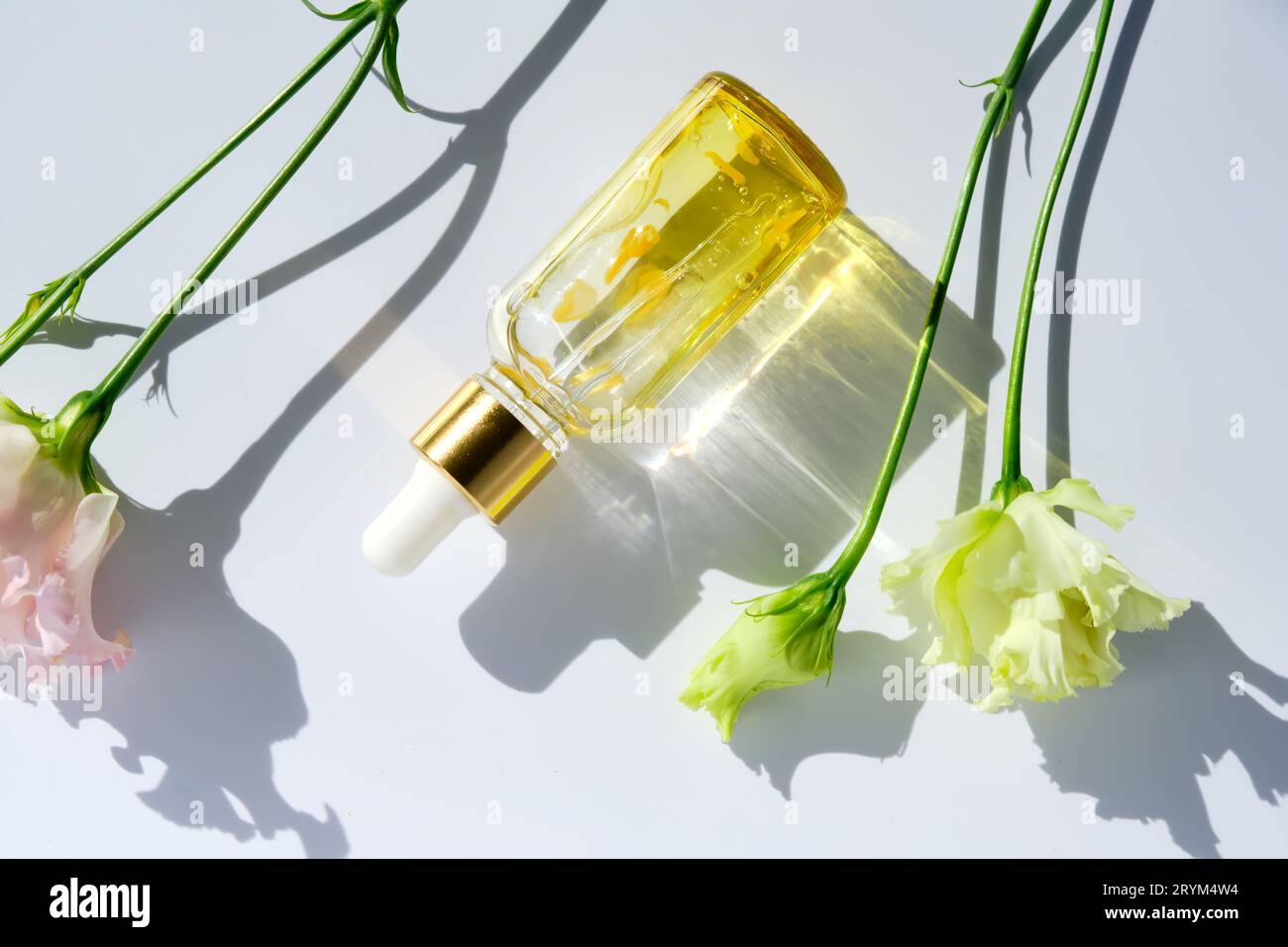 Prebiotic serum hi-res stock photography and images - Alamy