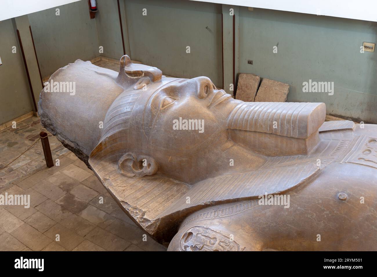 Head of colossal statue of Pharaoh Ramesses II at Memphis Museum, near ...