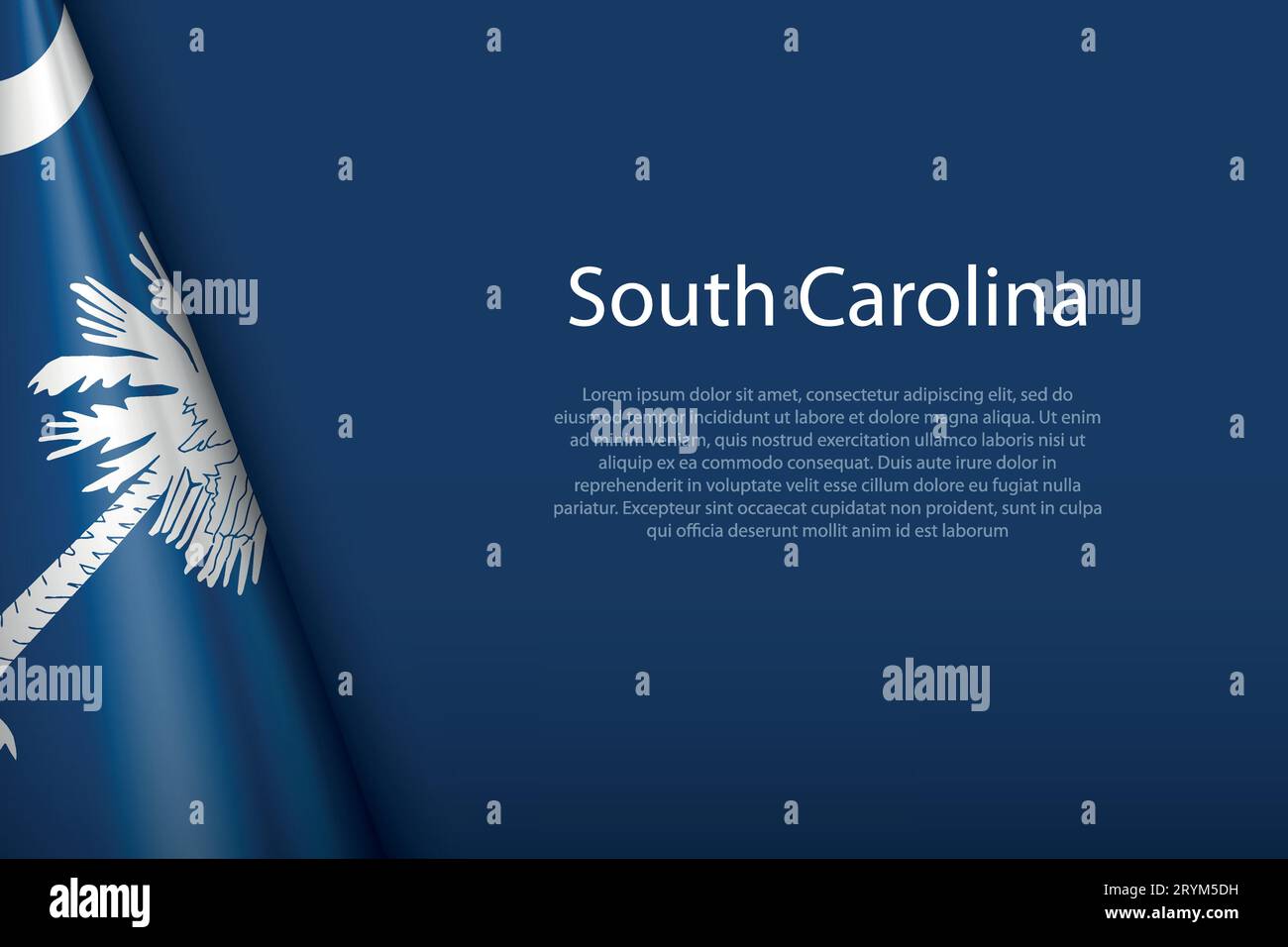 3d flag South Carolina, state of United States, isolated on background ...