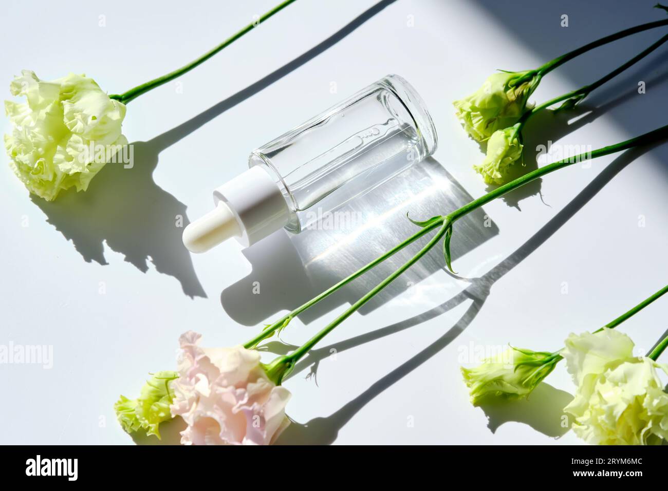 Serum with a dropper with spring flowers Stock Photo - Alamy