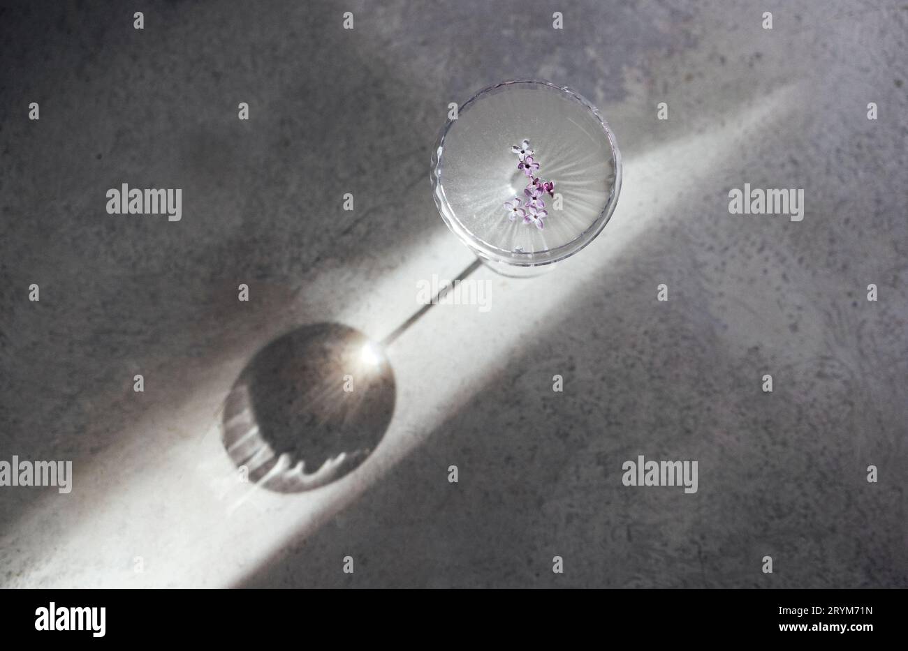 One glasse with champagne on a light table surface reflecting soft ...