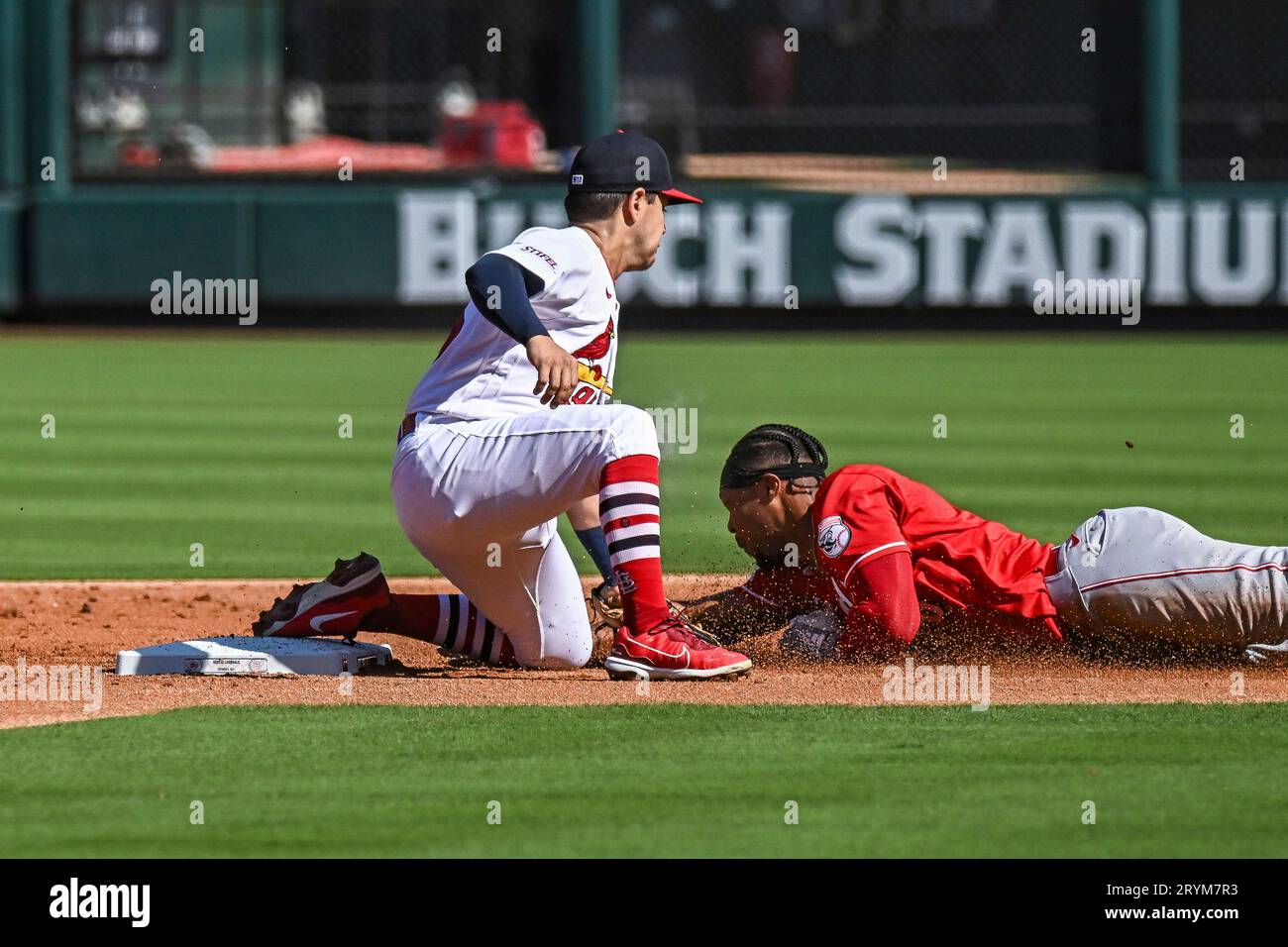 ST. LOUIS, MO - Oct 1: St. Louis Cardinals second baseman Irving Lopez ...