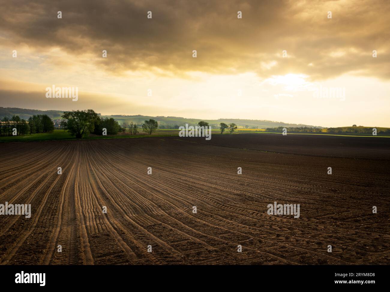 Plowed and sown field with dramatic sky Stock Photo - Alamy