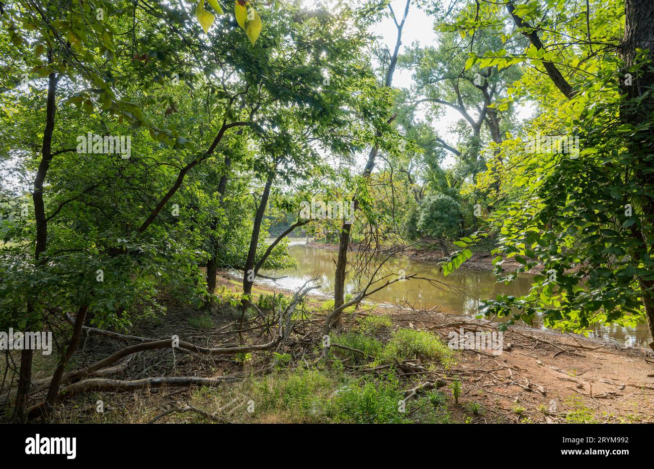 Sunny view of the nature landscape of Martin Nature Park at Oklahoma ...