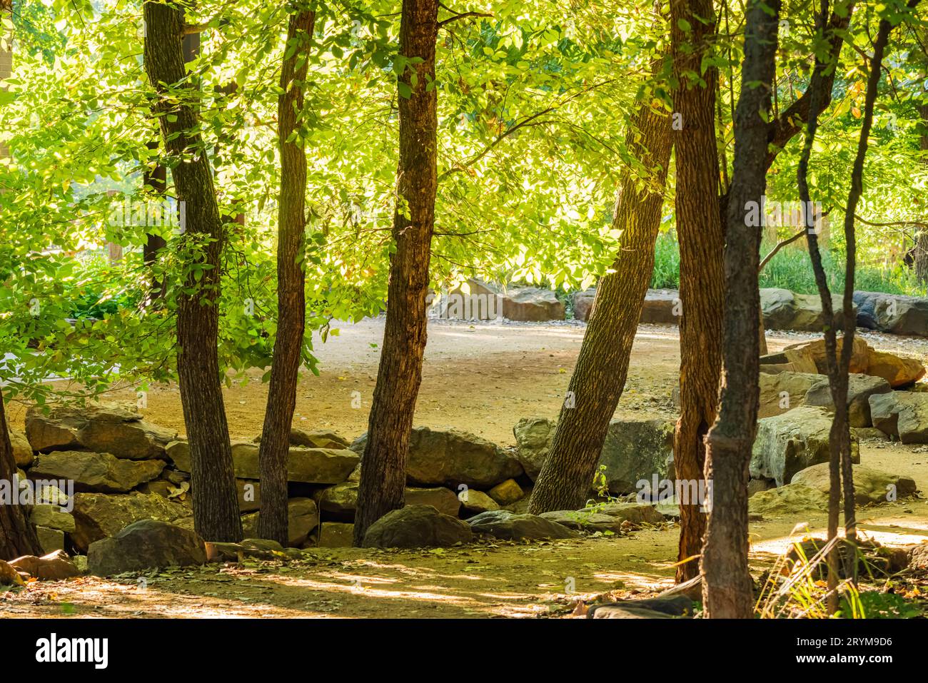 Sunny view of the nature landscape of Martin Nature Park at Oklahoma ...