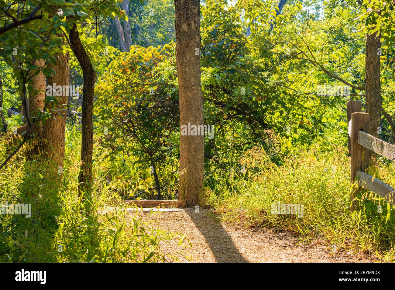 Sunny view of the nature landscape of Martin Nature Park at Oklahoma ...