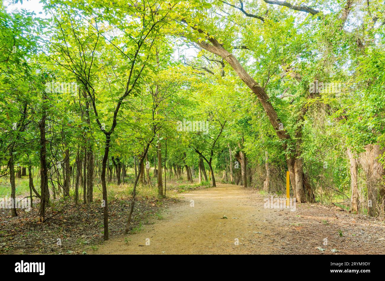 Sunny view of the nature landscape of Martin Nature Park at Oklahoma ...