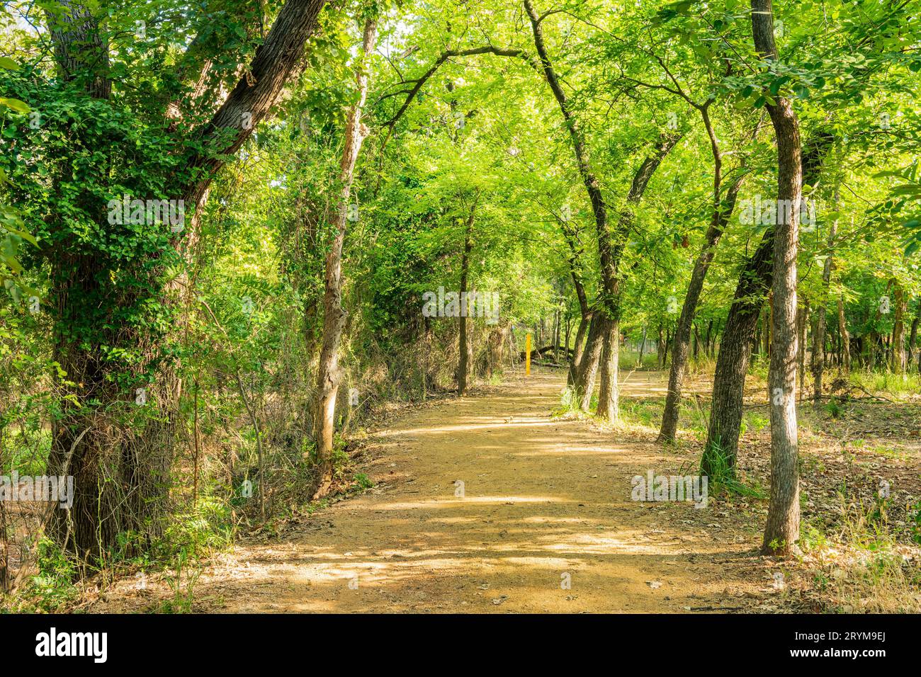Sunny view of the nature landscape of Martin Nature Park at Oklahoma ...