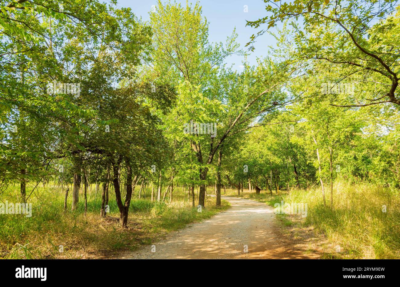 Sunny view of the nature landscape of Martin Nature Park at Oklahoma ...