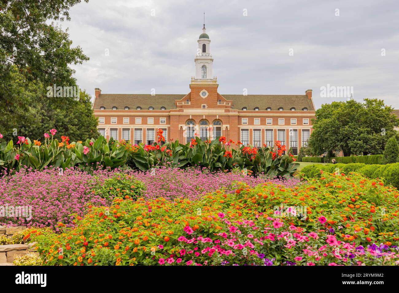 Low library hi-res stock photography and images - Alamy