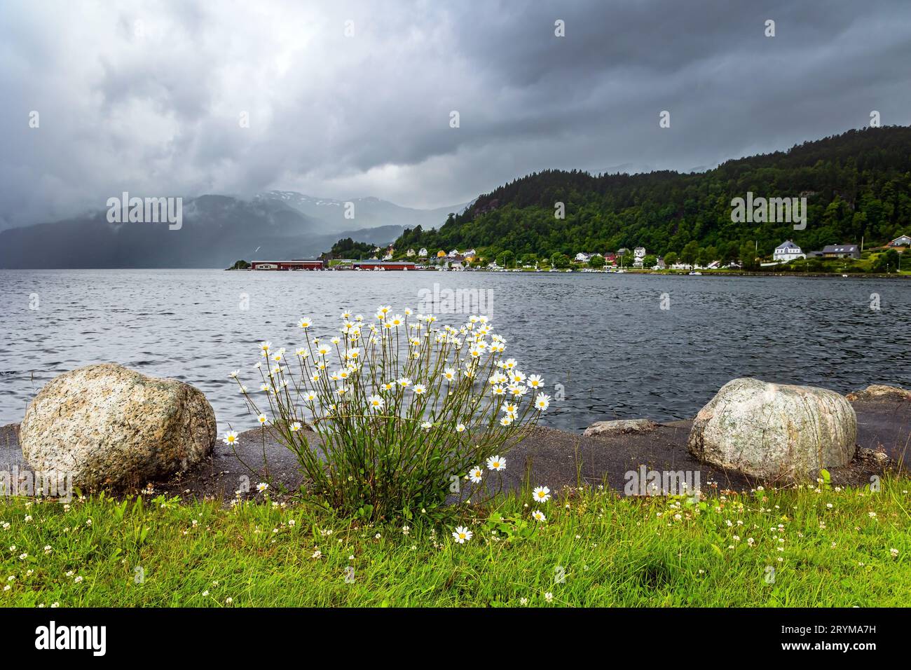 Nature rainy scene lake hi-res stock photography and images - Alamy