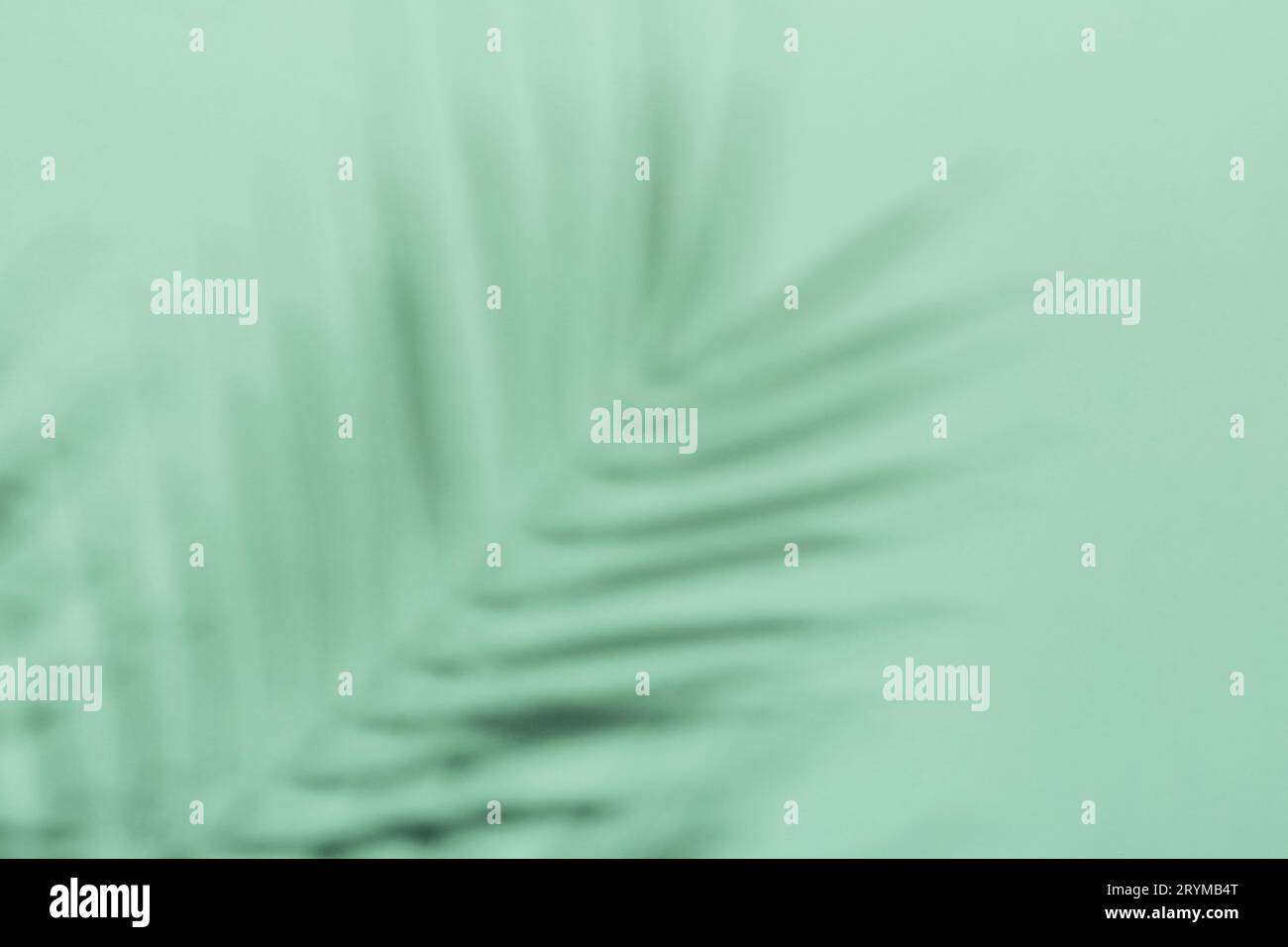 Natural palm leaves shadow on gradient paper background. Abstract blue ...